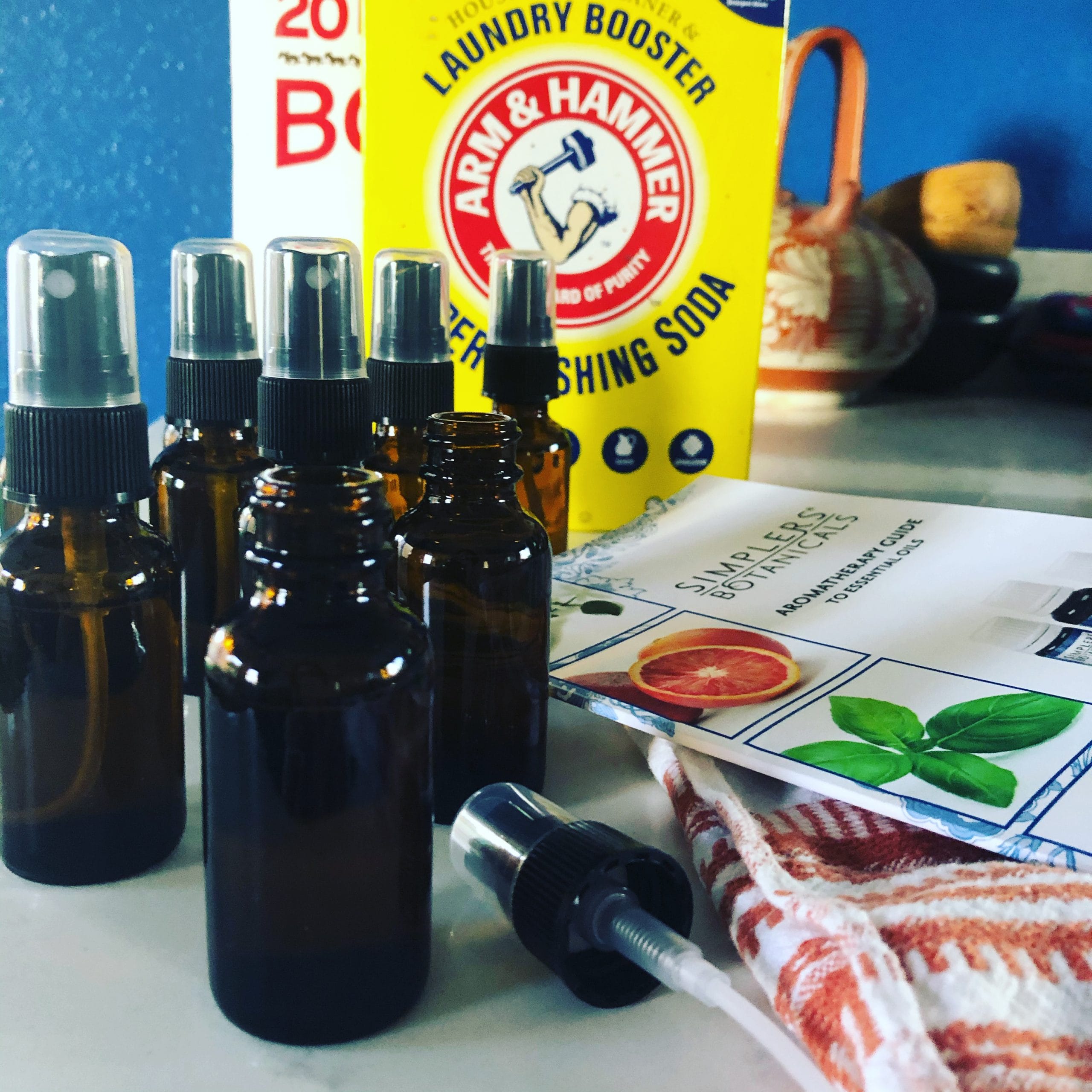 Plant-Based Cleaning with ALMAS - The Botanical Bus