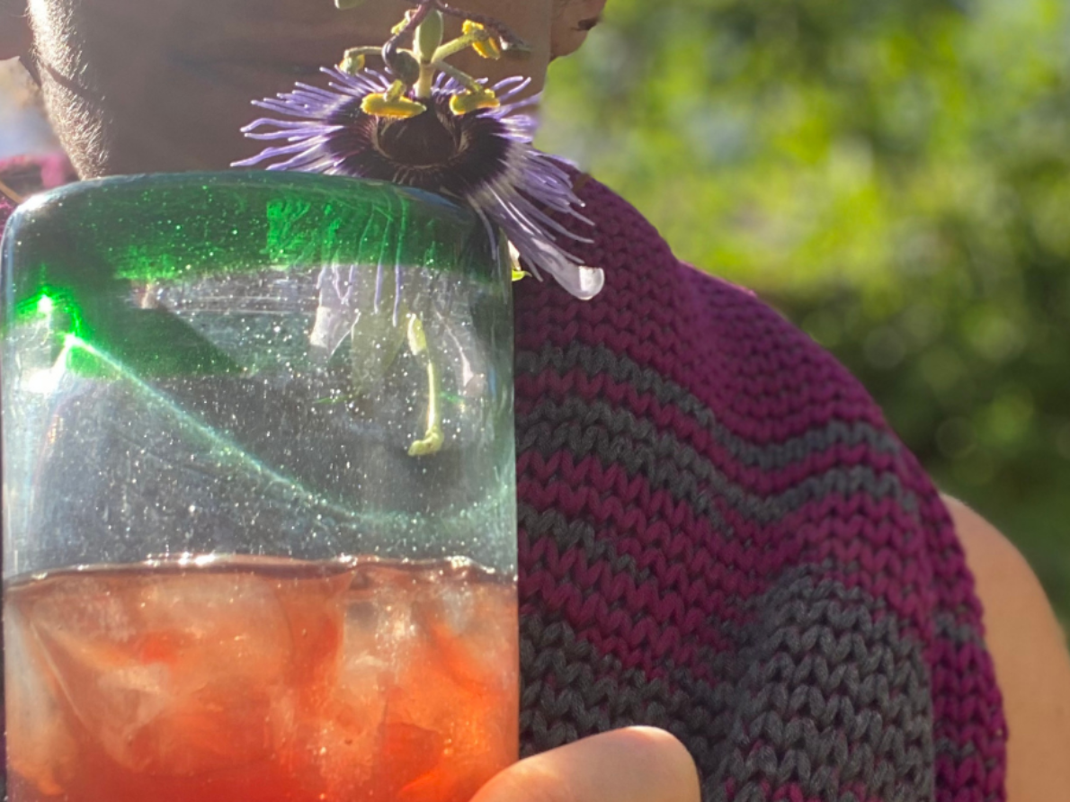 Blog - The Botanical Bus