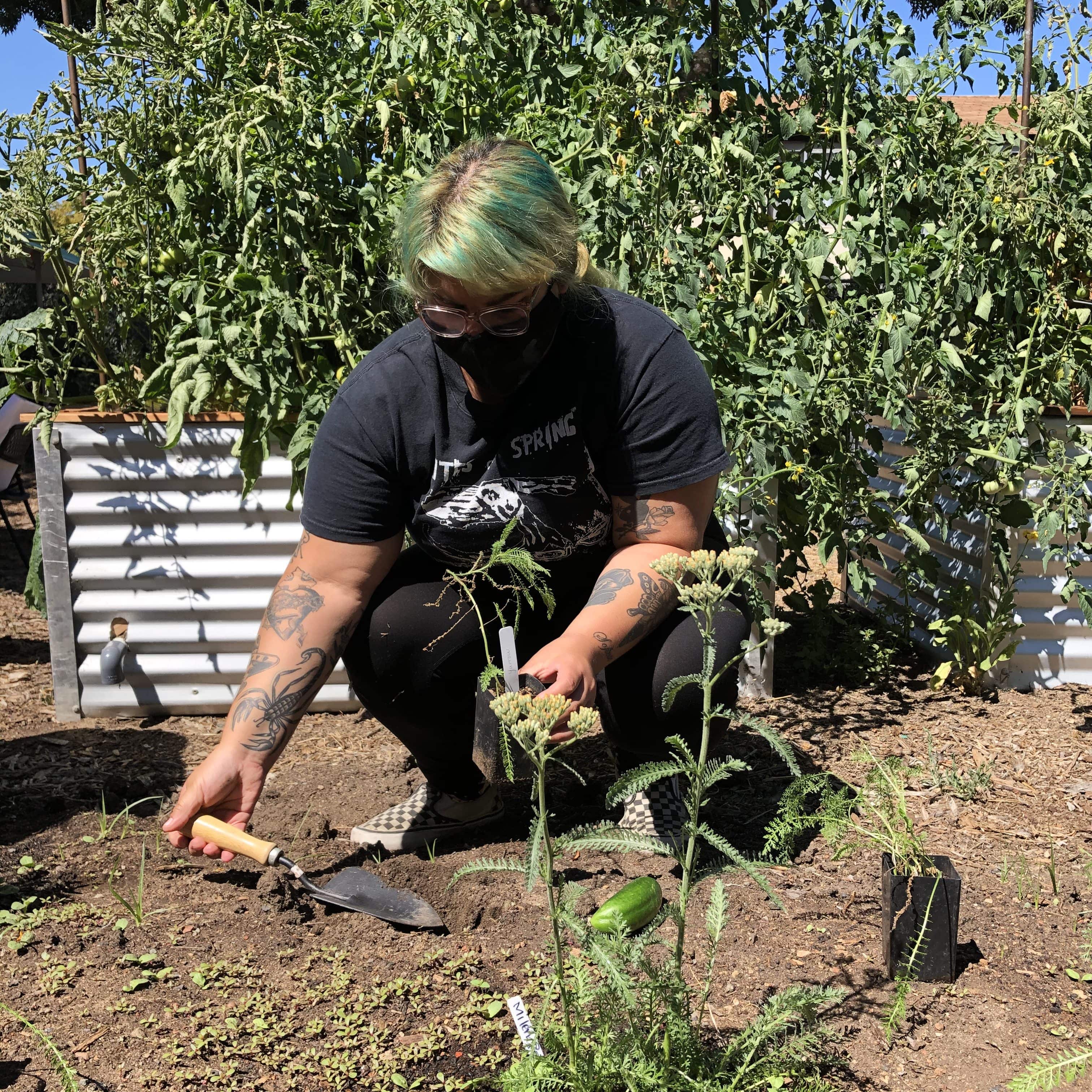 What We Do – The Botanical Bus