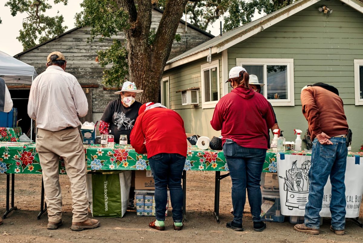 In the News - The Botanical Bus