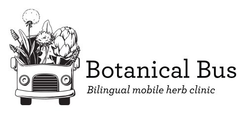 Herbal Horchata for Immunity + Lung Health – The Botanical Bus