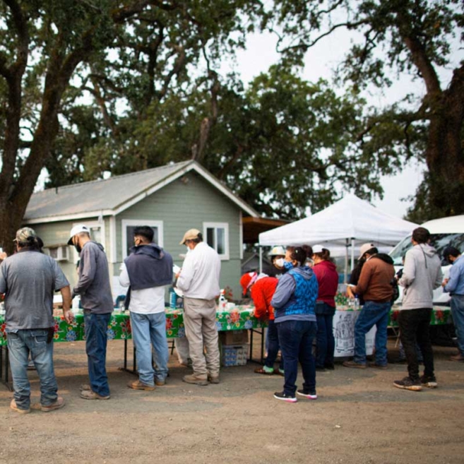 Mobile Herb Clinic - The Botanical Bus