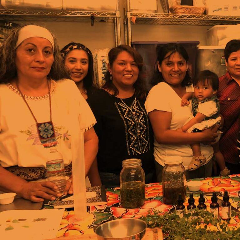 Our Commitments - The Botanical Bus