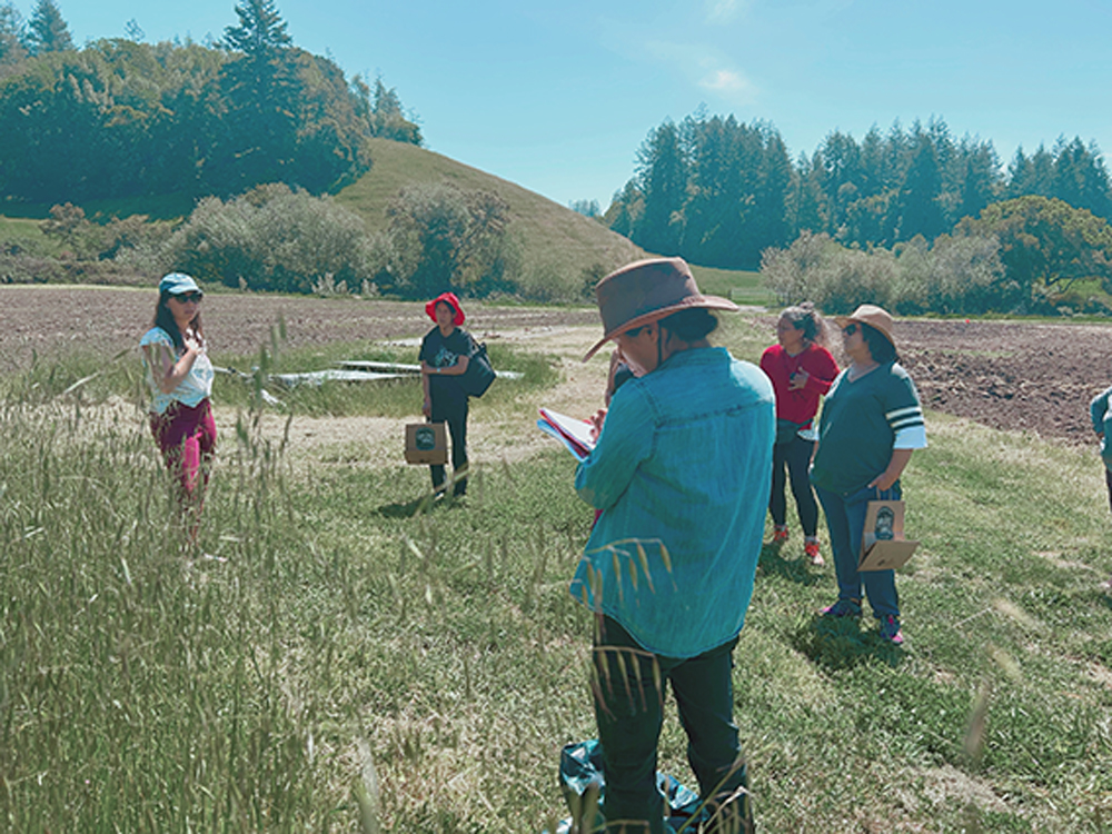 Our Best Practices - The Botanical Bus