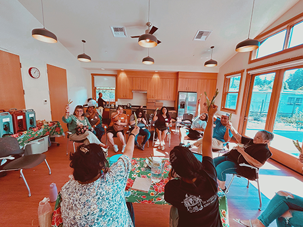 2023 Impact Report - The Botanical Bus